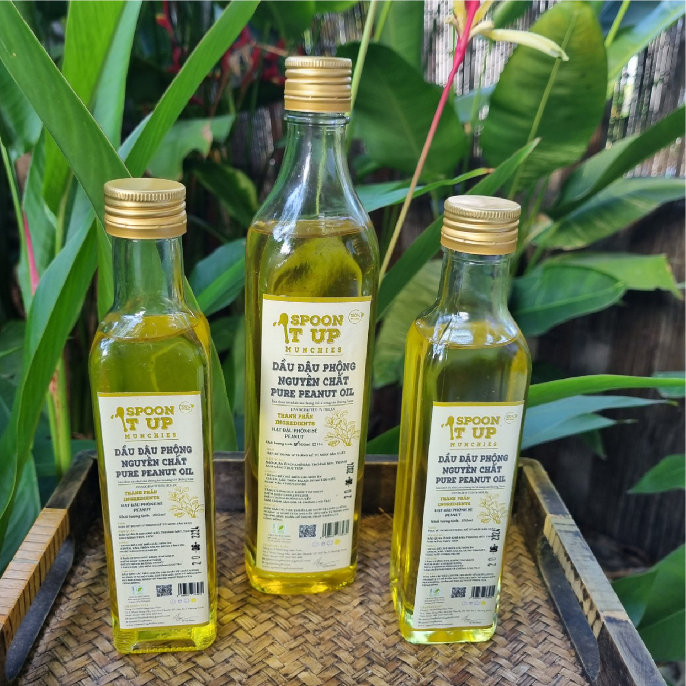 Cách ép dầu lạc (dầu đậu phộng) tại nhà - Hướng dẫn chi tiết từ A-Z